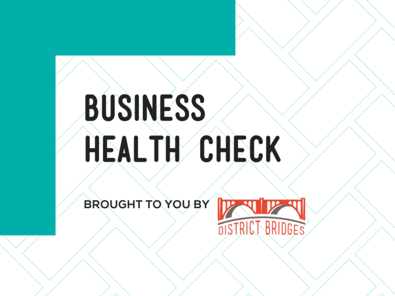 Business Health Check (Instant Download) - District Bridges