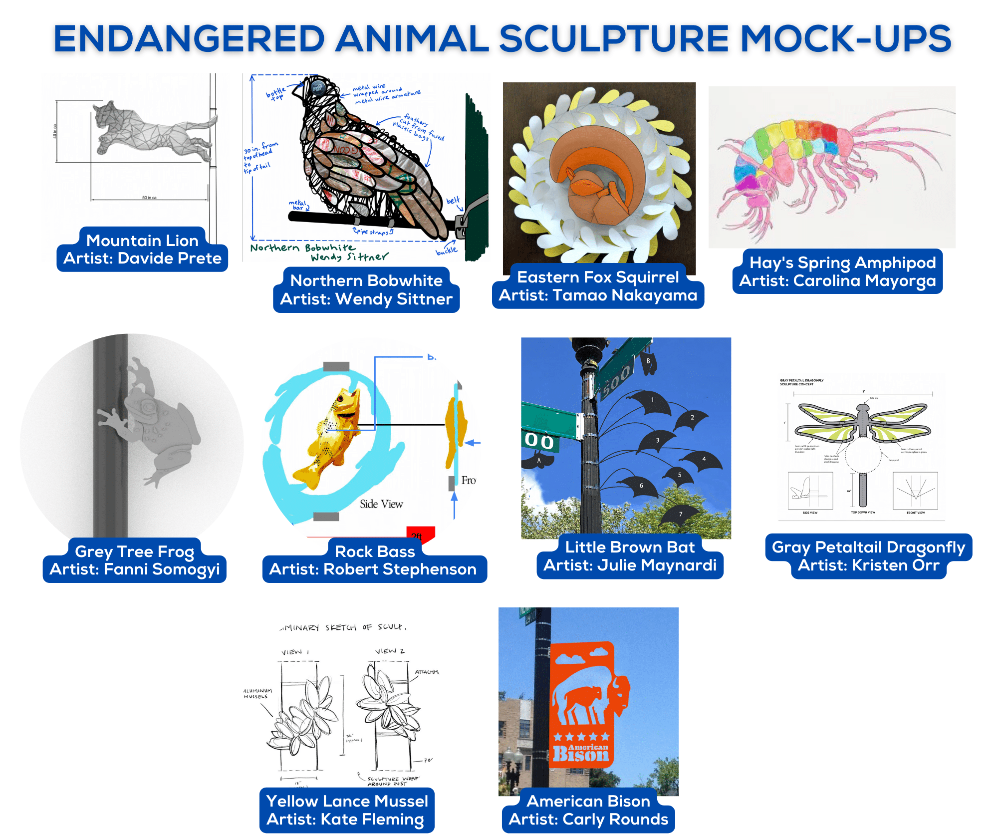 Support Public Art: The Endangered Animal Public Art Project - District ...